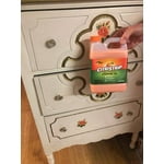 CitriStrip Citric Paint & Varnish Stripping Gel for Wood & Metal, 1 ...