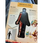 Inside Out Human Body: Explore the World's Most Amazing Machine-You ...