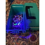 Logix Stackable Craft Storage Box, Teal - Walmart.com