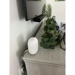 Free Shipping! Nest Wifi Pro - Wi-Fi 6E - 1-pack - Reliable Home WiFi ...