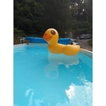 Intex Inflatable Yellow Duck Ride-On Pool Float Toy for Adults, Size ...