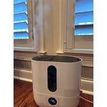 BONECO U350 Room Control Heat, Warm or Cool Mist Ultrasonic Humidifier ...