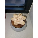 Better Homes & Gardens Wicking Ceramic Diffuser Floral Frosted ...