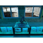 Govee Flow Pro LED Bars, RGBIC, WiFi, Google Assistant Compatible ...