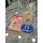 Thames & Kosmos Ooze Labs: Visible Human Body Model with Squishable ...