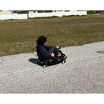 Razor Crazy Cart DLX - 24V Electric Powered Ride-On, up to 12 mph ...