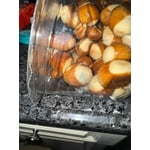 Pretzilla Soft Pretzel Bites 12.5 oz Tub, Snack, Easy to Heat and Enjoy ...