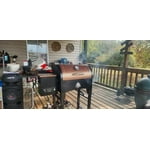 Pit Boss 340 Sq. in. Portable Tailgate, Camp Pellet Grill with Folding ...