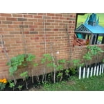 Timberline Cow Manure and Compost, Soil Conditioner, 40lb Bag, Ideal ...