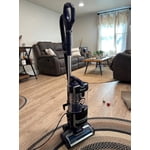 Shark Lift-Away Vacuum, Powerfins & Self-Cleaning Brushroll Performance ...