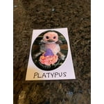 TY Beanie Boos Collection - 6 inch WILMA the Platypus Stuffed Animal ...