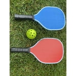 MinnARK Sports LED Pickleball Portable Set, Light-Up Net, Paddles, and Balls, for Driveway ...