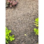 Hyponex by Scotts Black Mulch, 2 cu. ft., Provides Year-Long Color ...