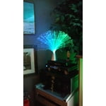 Novelty Color Changing Fiber Optic Light - Walmart.com