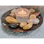 Long Last Bulk Pack Amari White Unscented Indoor/Outdoor Tealight ...