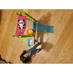 Barbie Vet Set Panda Care & Rescue: Doll with 2 Color-Change Pandas ...