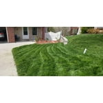 Scotts Step 1 Starter Lawn Food with Crabgrass Preventer for Seeding ...