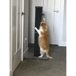 "Cat Craft 42"" Bobcat Scratcher with Dura Carpet, Sisal, Particle ...