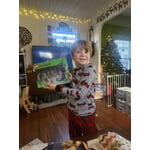 Free Shipping! LEGO Minecraft Armory Building Set Includes Alex and ...