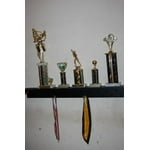 Medal Awards Rack Trophy Shelf and Award Display Rack- Black 36 ...