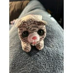 Free Shipping! FurReal Newborns Kitten Interactive Pet Small Plush Cat ...