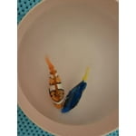 Robo Alive Robo Fish Robotic Turtle Water Activated 2 Pack with ...