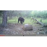 Tasco 12MP Trail Camera with Low Glow Infrared Flash, 720p Video, PIR ...