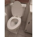 Miseno High-Efficiency Two-Piece Toilet, Santi Mno240c, High-Quality ...