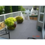 Miracle-Gro Water Soluble Bloom Booster Flower Food, 1.5 lb., For All ...