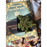 "Easy to Grow Pink Mountain Serissa Tree - Live House Plant, Bonsai ...