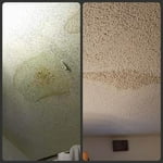 Homax Popcorn Ceiling Texture Repair Patch, Water Based, White, 1 Quart ...