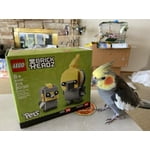 LEGO BrickHeadz Pets Cockatiel 40481 - Walmart.com
