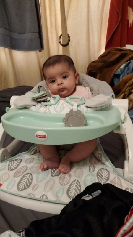 Snugamonkey High Chair