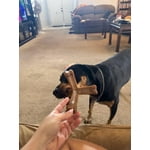 N-Bone® Quado® Dried Interactive Dog Chews, Peanut Flavor, Average Joe ...