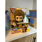 Free Shipping! Little Live Pets My Baby Monkey Mango Interactive Plush ...