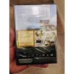 Finding Neverland (DVD) - Walmart.com