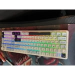 AULA S99 Pro, 99-Key, Wireless, Membrane, Gaming Keyboard, RGB, 5-Layer ...