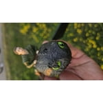 Free Shipping! DreamWorks Dragons Remote Control Flying Toothless Toy ...