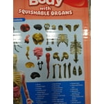 Thames & Kosmos Ooze Labs: Visible Human Body Model with Squishable ...