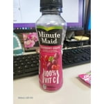 Minute Maid Cranberry Grape Fruit Juice Drink, 12 fl oz Bottle ...