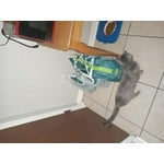 Kitty Diggin's Fragrance-Free Cat Litter, 7 lbs - Walmart.com