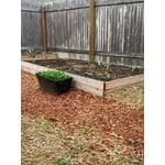 Pet's Pick Natural Wood Chip Cedar Dog Bedding, Odor-Free, Warm & Dry ...