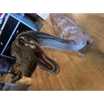 Jurassic World Legacy Collection Diplodocus Large Dinosaur Action ...