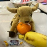 Ty Beanie Baby Plush: Whisper the Deer | Stuffed Animal | MWMT ...