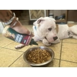 Jinx Kibble Sauce Beef Bone Broth Dog Meal Topper, 12 fl oz Bottle ...