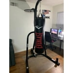 Everlast MMA Punching Boxing 2 Station Dual Heavy Duty Powder Coated ...