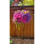 Alaska Morbloom Fish Based Fertilizer 0-10-10 5 Gallon - Walmart.com