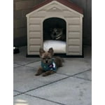 Rimax ECO Resin Dog House for Medium and Large Breeds, Taupe, 36"W ...