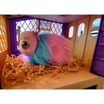 Little Live Pets Rainbow Edition Mama Surprise Guinea Pigs Playset Toy ...