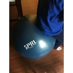 SPRI Weighted Stability Exercise Ball, 55cm, Blue - Walmart.com